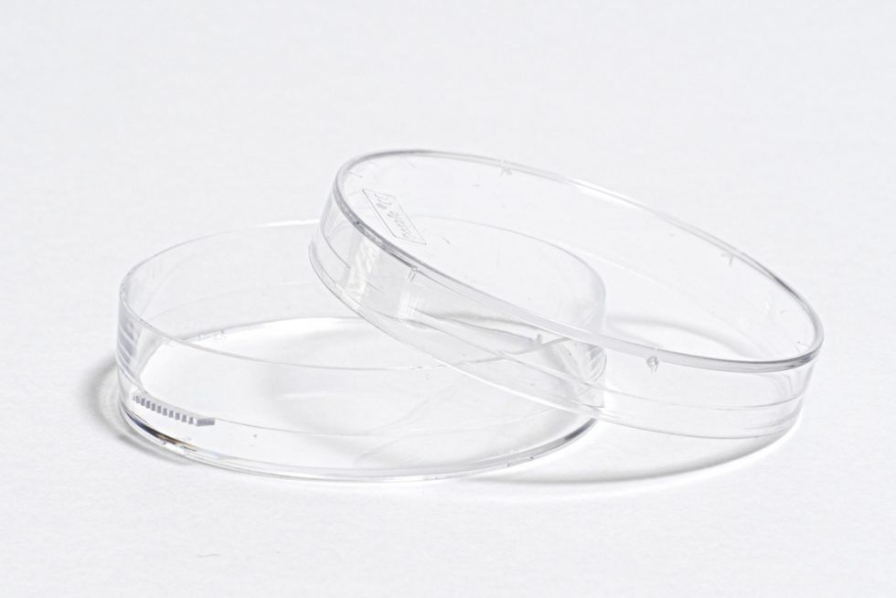 Oosafe 60 mm Dish, Label Area Grip, Sparmed – დანია | IVF Store
